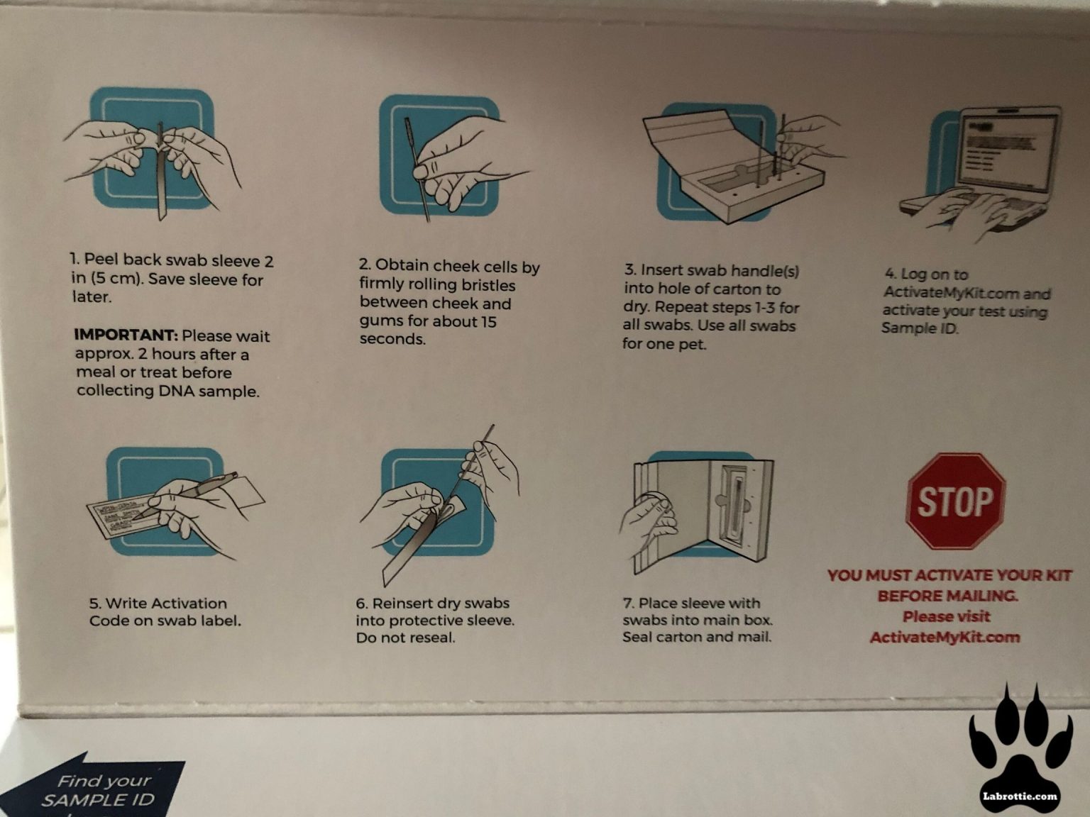 Wisdom Panel 4.0 a Dog DNA Test Kit Review| Labrottie.com