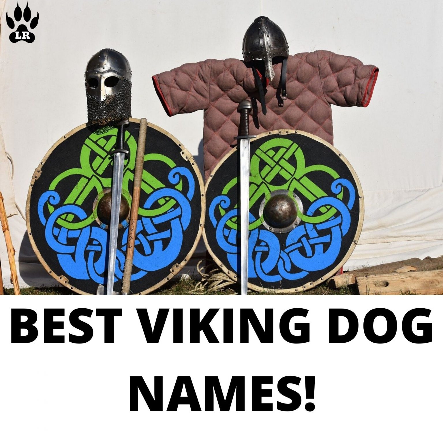 150+ of the Best Viking Dog Name's | Labrottie.com