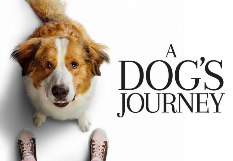 Reviews of Best Dog Movies to Love and Inspire - Labrottie.com