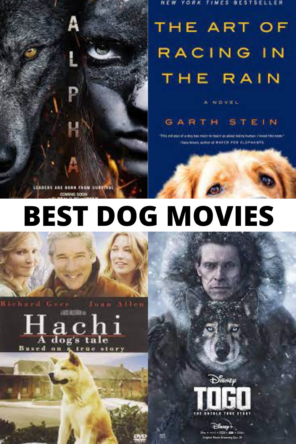 Reviews of Best Dog Movies to Love and Inspire - Labrottie.com