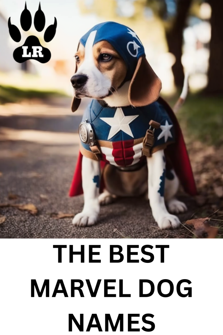Fantastic Marvel Dog Names | Labrottie.com